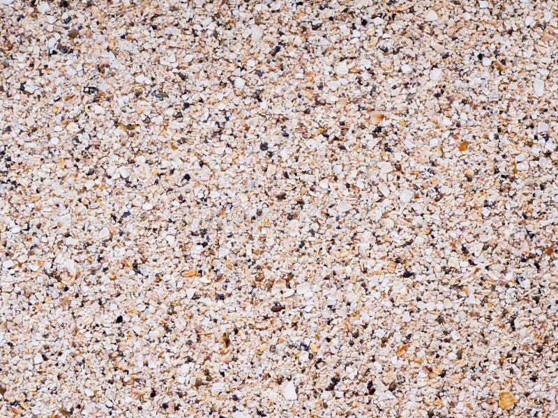 Sea shell rock background stock photo. Image of ocher - 145597694