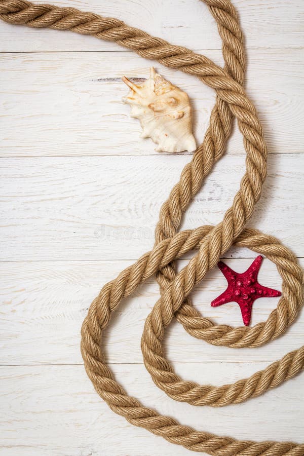 Sea Shell and Rope on White Boards Stock Image - Image of copyspace ...