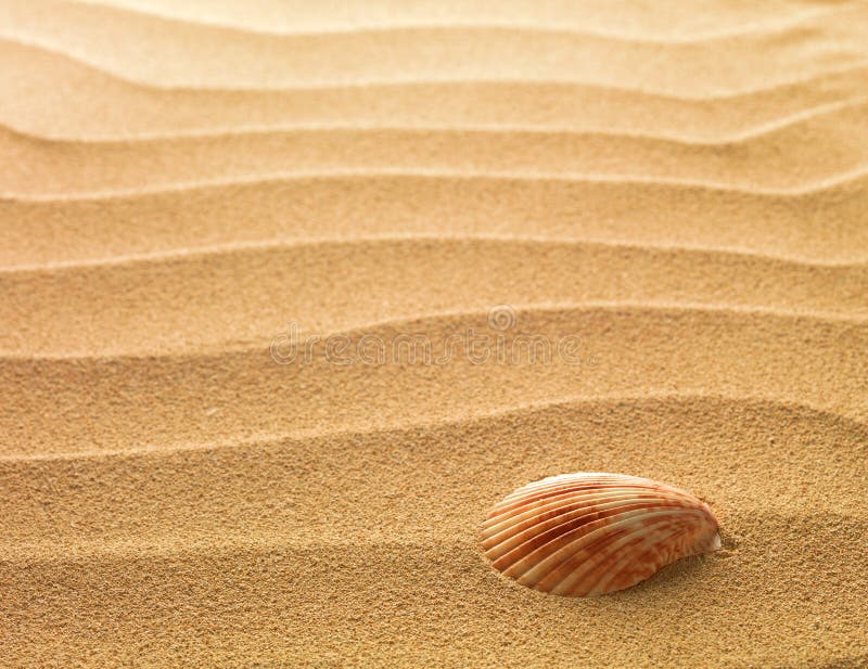 Texture of Beach Sea Sand with a Soft Wave of Surf. Summer. Stock Image ...
