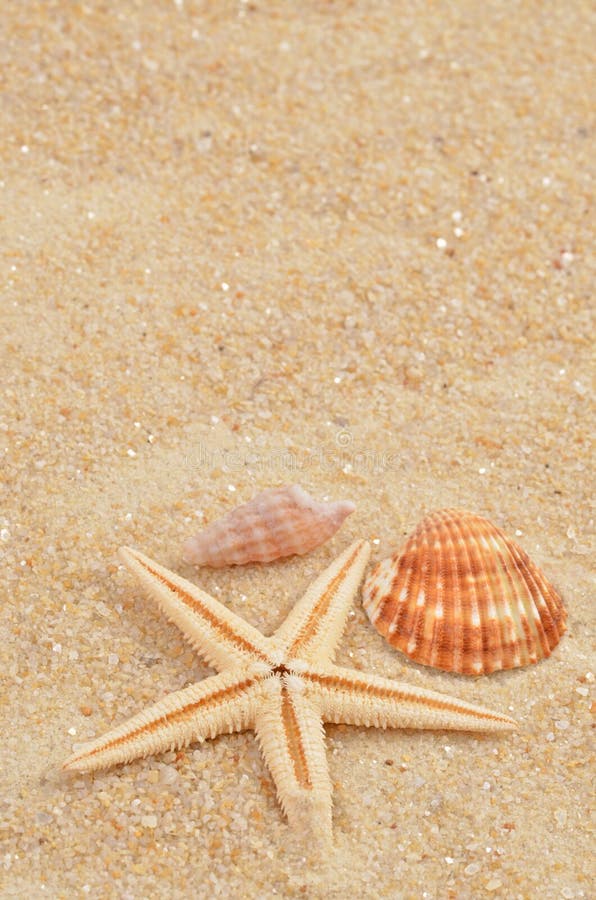 126 Makro Beach Stock Photos - Free & Royalty-Free Stock Photos from ...