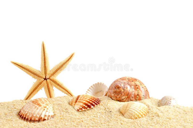 126 Makro Beach Stock Photos - Free & Royalty-Free Stock Photos from ...
