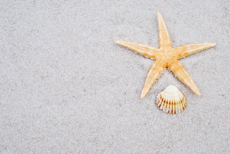 126 Makro Beach Stock Photos - Free & Royalty-Free Stock Photos from ...