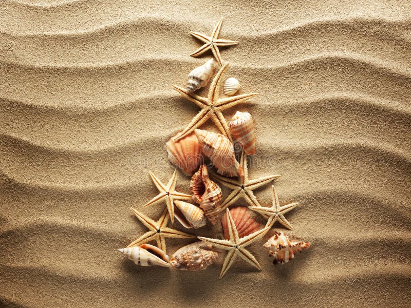 Sea shell on sand stock photo. Image of vacation, christmas - 39704404