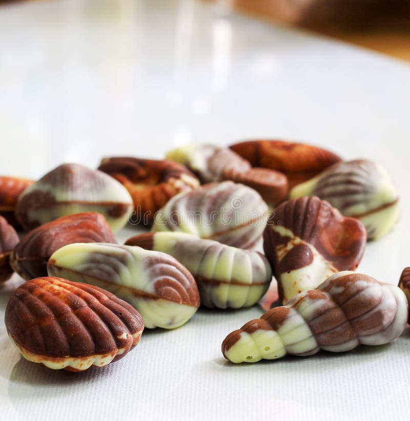 Sea Shell Shaped Assorted Belgian Chocolates in White Background.close ...
