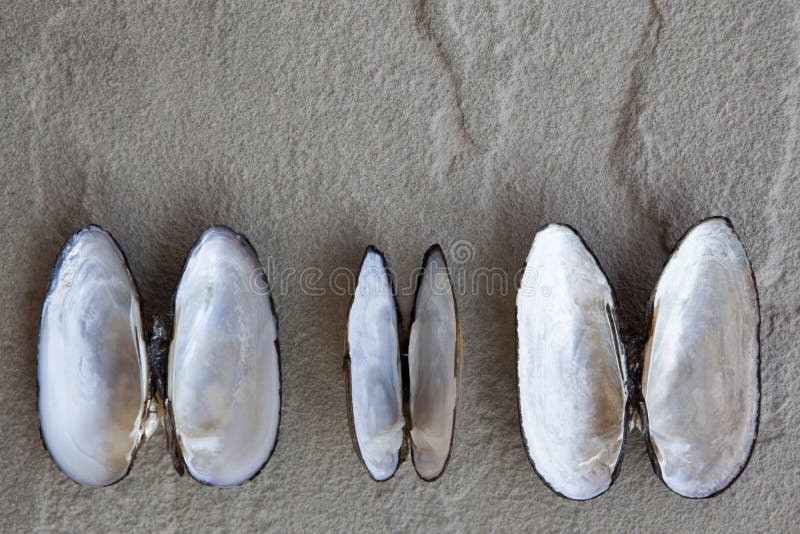 Sharp Stone Reefs Protruding from the Sea, a Danger To Sea Ships and ...