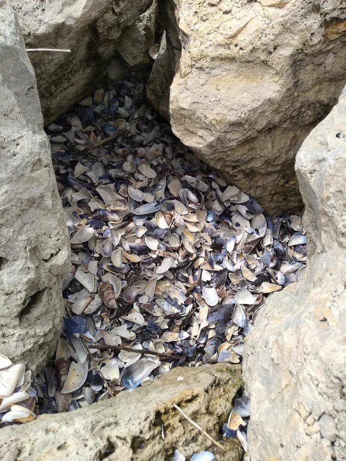 Shells Cave in the Historic Gardens of the Estate Wiltzangk. Stock ...
