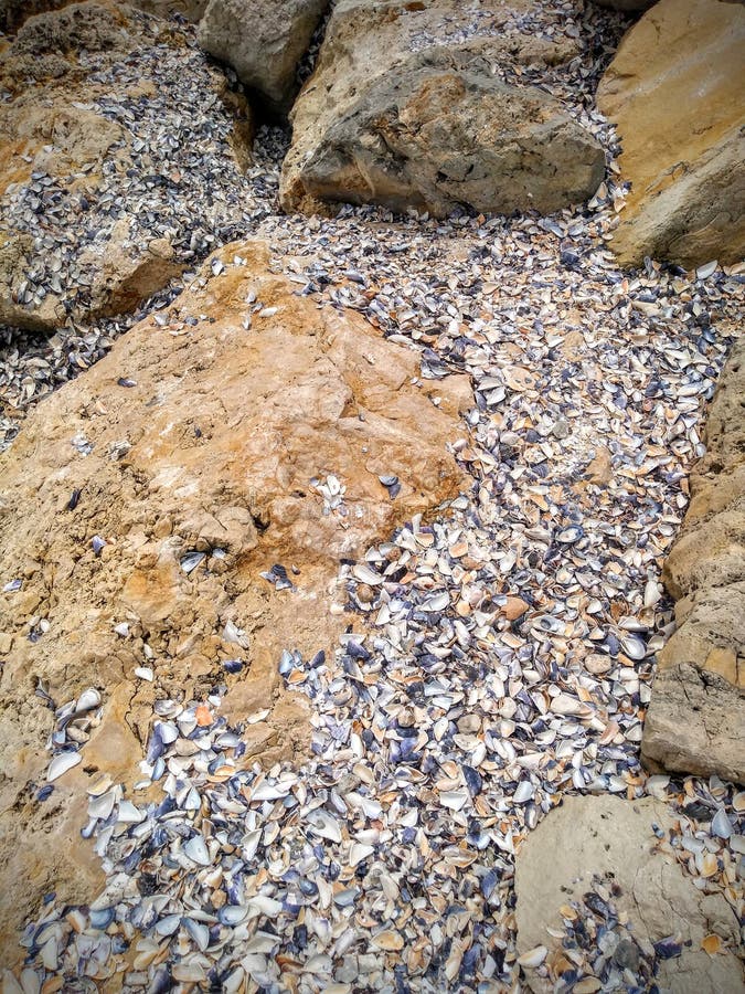 Shells Cave in the Historic Gardens of the Estate Wiltzangk. Stock ...