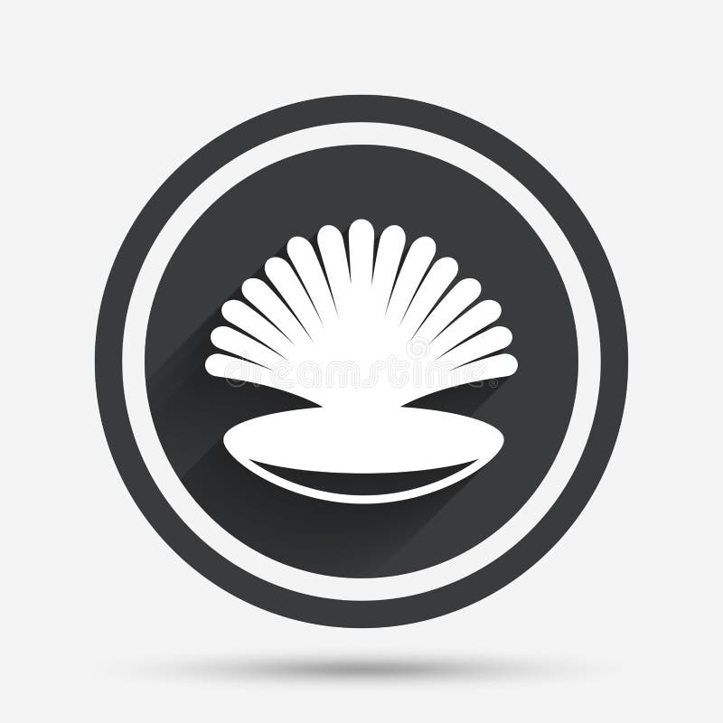 Sea Shell Sign Icon. Conch Symbol. Travel Icon Stock Vector ...