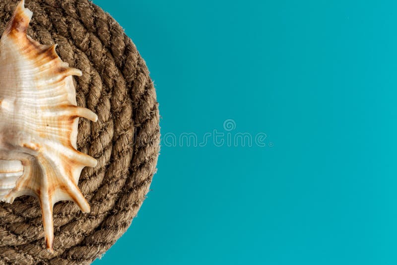 Sea Shell on a Slide Made of Old Rope on a Sea Green Background. Copy ...