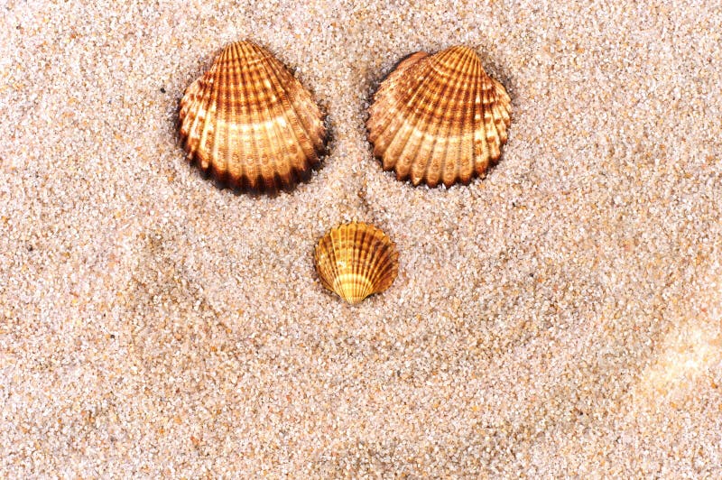 Sea shell in soft sand stock image. Image of natural - 30190937