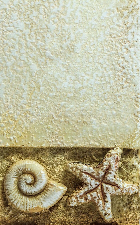 Sea Shell and Starfish on Brown Background, Closeu Stock Image - Image ...