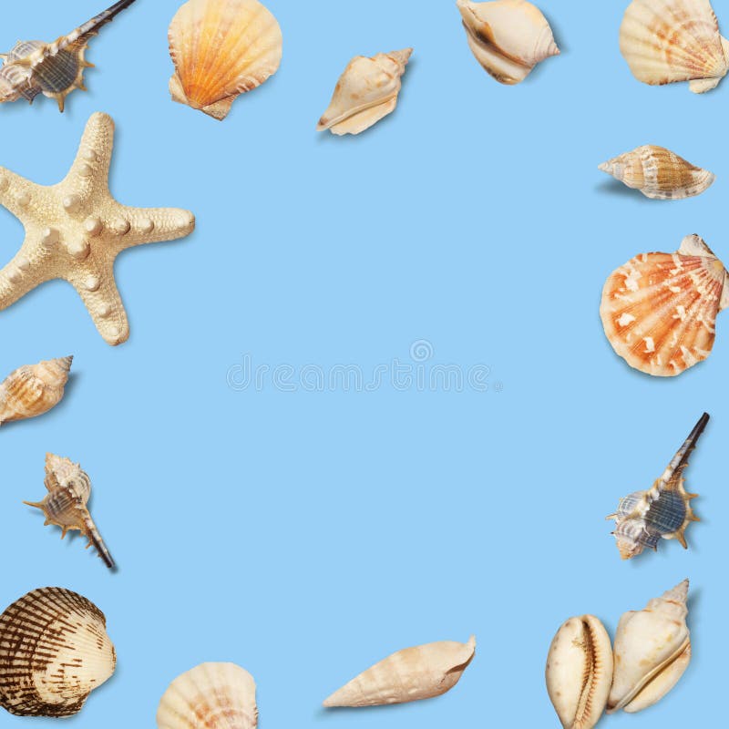 Sea Shell and Starfish. Frame of Seashells on Blue Background. Flat Lay ...