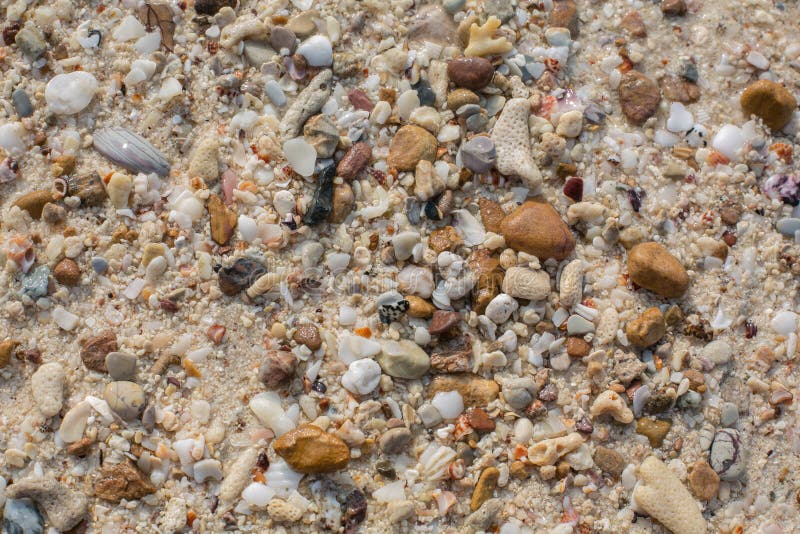 Sea Shell and Stone Pieces Texture Stock Photo - Image of pebble ...