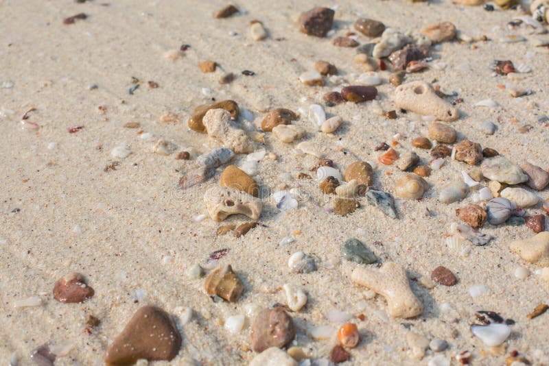 Sea Shell and Stone Pieces Texture Stock Image - Image of macro, calm ...