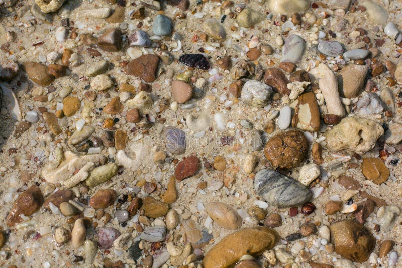 Sea Shell and Stone Pieces Texture Stock Image - Image of brown ...