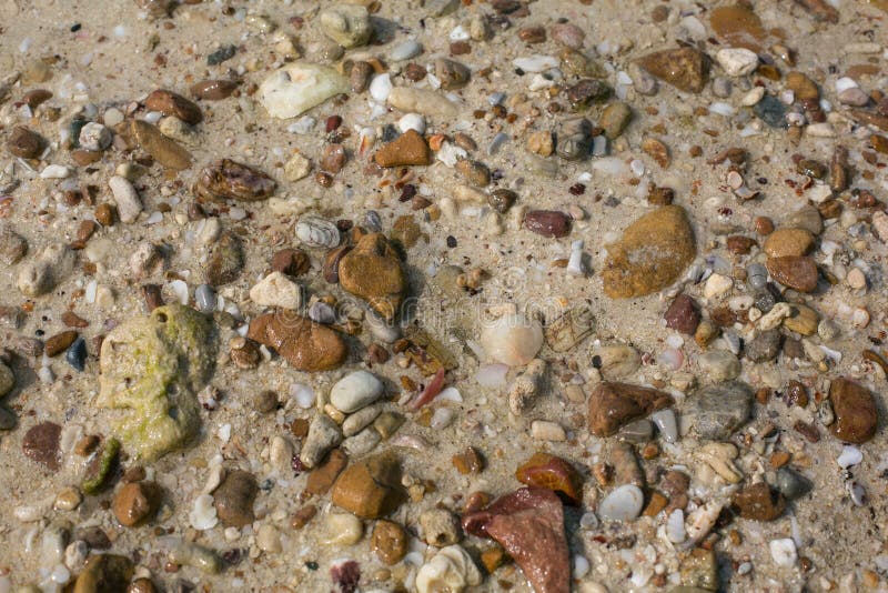 Sea Shell and Stone Pieces Texture Stock Photo - Image of beach ...