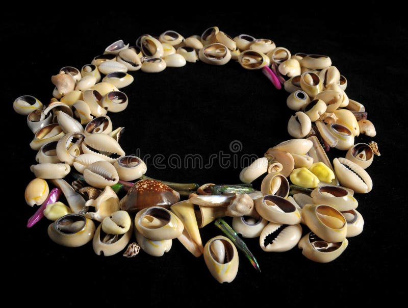 Sea Shell stock image. Image of chiton, limestone, shell - 246340057