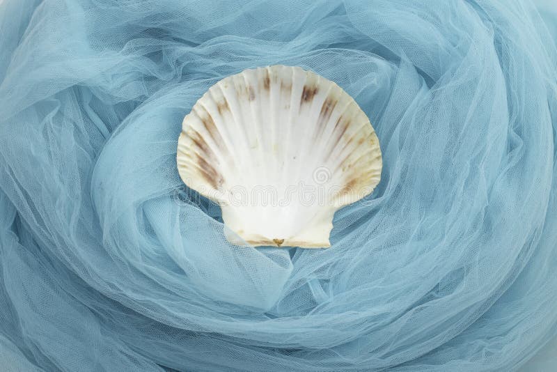 Sea Shell on Turquoise Blue Fabric Texture. Backdrop for Product ...