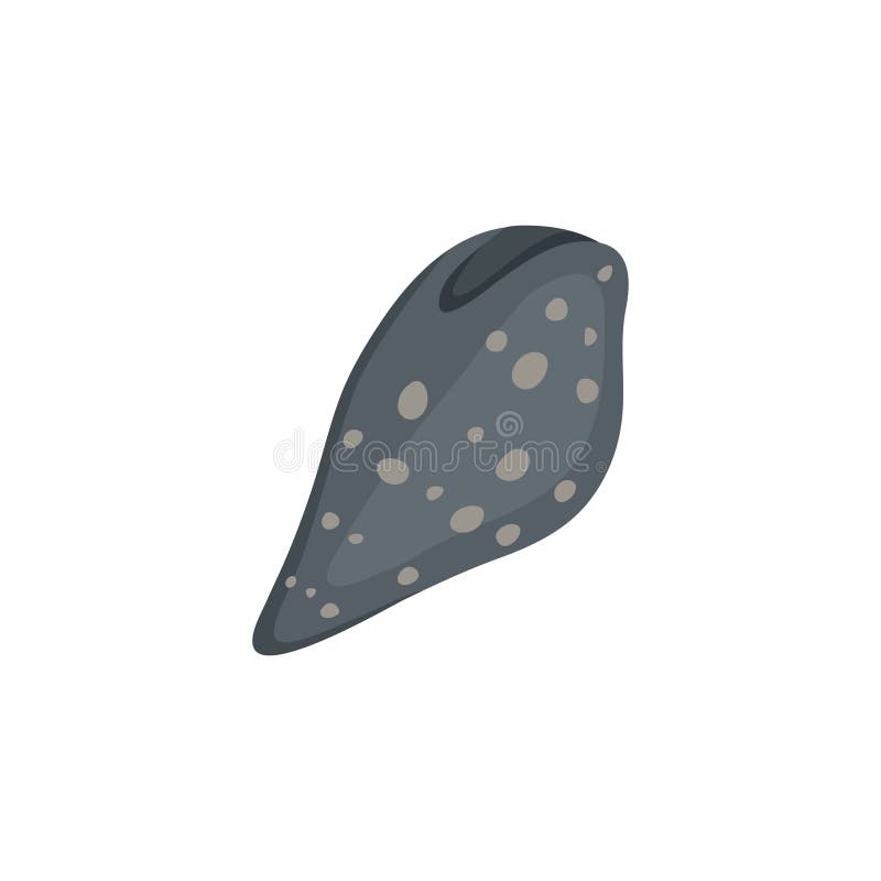 Sea Shell Vector Icons in Cartoon Style. Set of Mollusc. Ocean ...