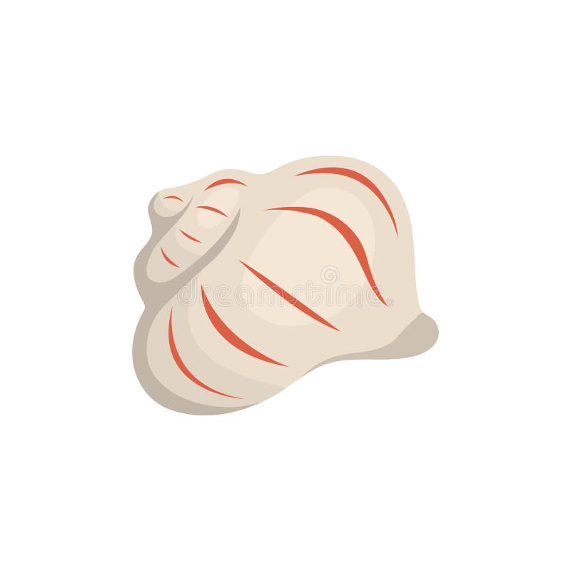 Sea Shell Vector Icons in Cartoon Style. Set of Mollusc. Ocean ...