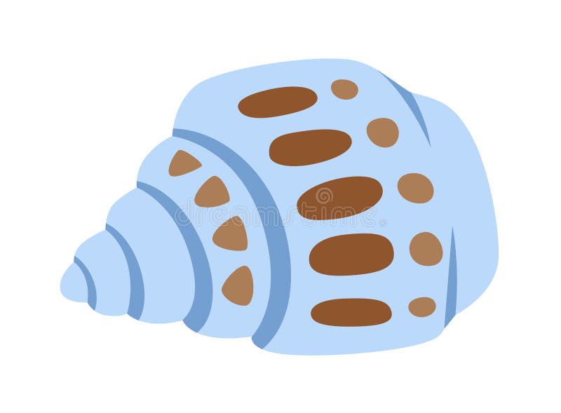 Sea Shell Vector Illustration Beach Marine Underwater Design Element ...