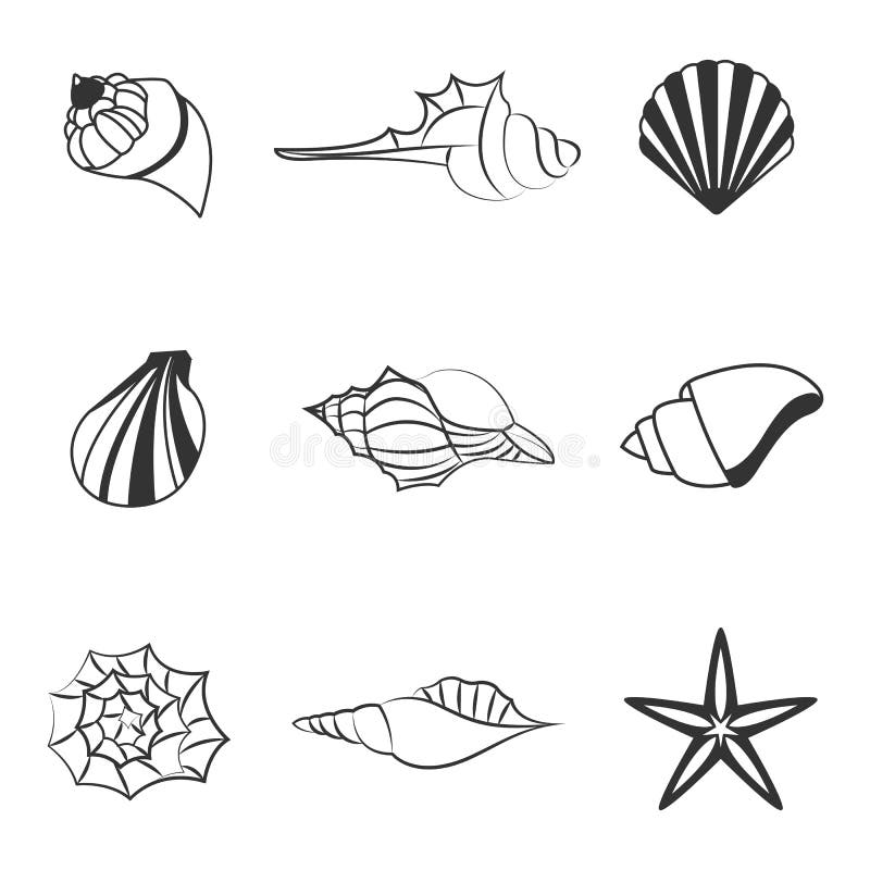 Sea Shell Vector Illustration of Line Silhouettes Stock Vector ...