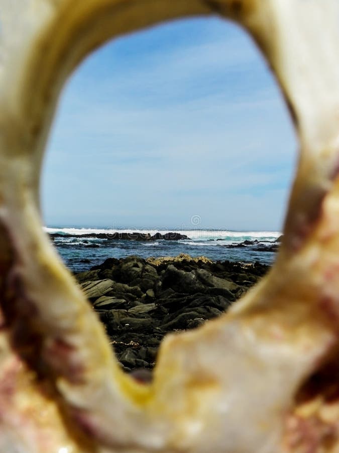 Sea through shell stock image. Image of seaview, clouds - 60721215