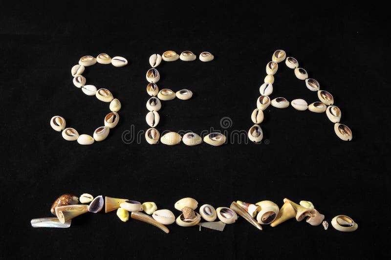 Word Sea Shell Written on Beach Sand Stock Image - Image of tourism ...