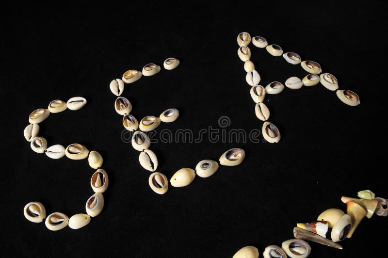 Word Sea Shell Written on Beach Sand Stock Image - Image of backgrounds ...