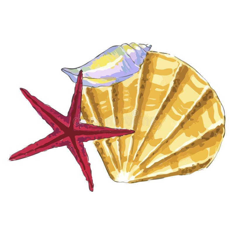 Sea Shell in Yellow and Red Colors Stock Vector - Illustration of ...