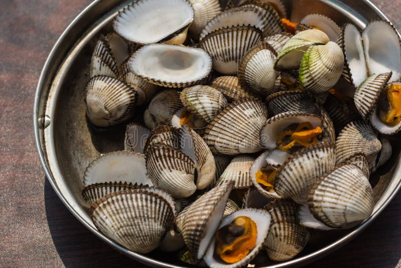 Sea Shellfish Cooked at a Campfire on the Beach Stock Image - Image of ...