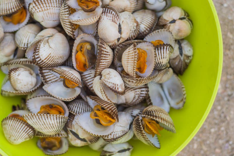 Sea Shellfish in a Green Bowl, Cooked by the Fire on the Beach Stock ...