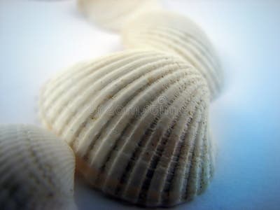 11,952 Sea Maritec Logo Stock Photos - Free & Royalty-Free Stock Photos ...