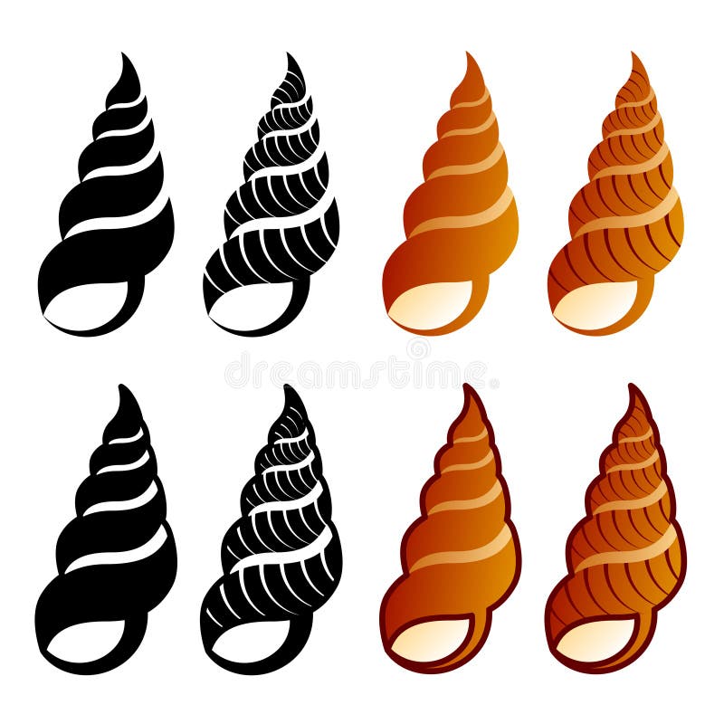 Set of line drawing shells stock vector. Illustration of diving - 44621627