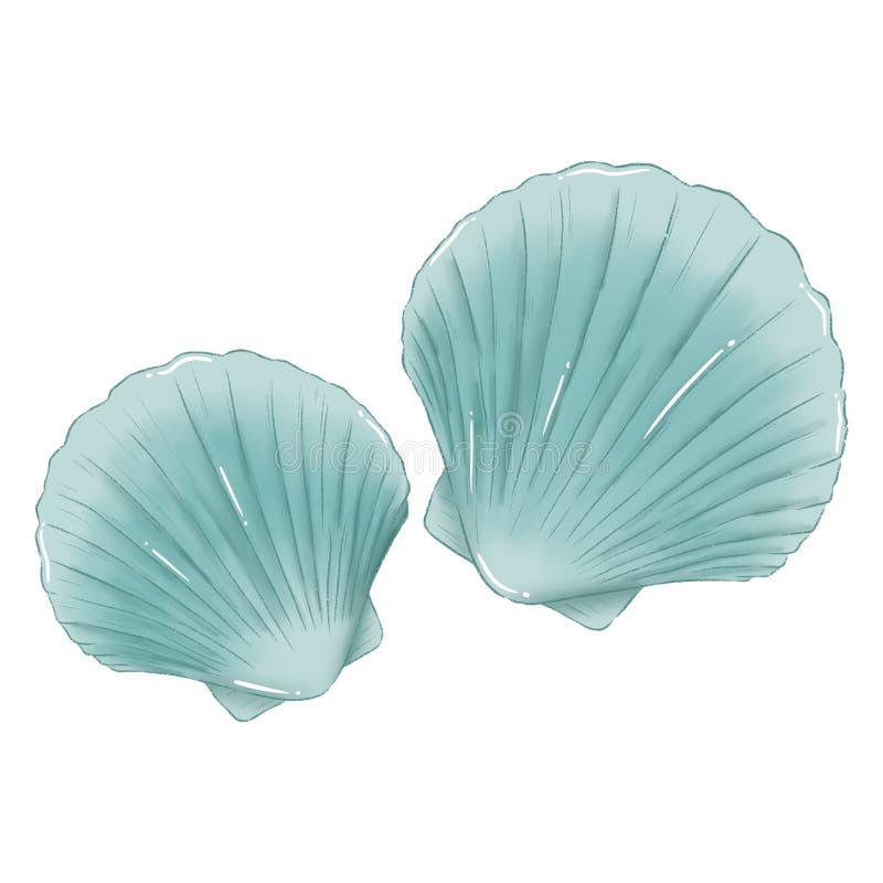 Cute Sea Shells Illustration Artwork Stock Illustration - Illustration ...