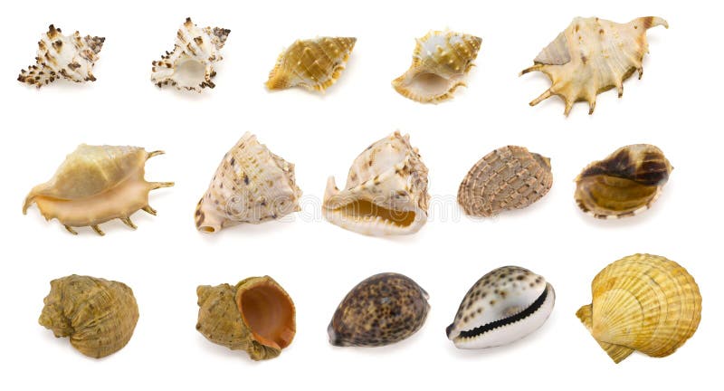 Family by the sea stock photo. Image of smiling, blue - 2520194