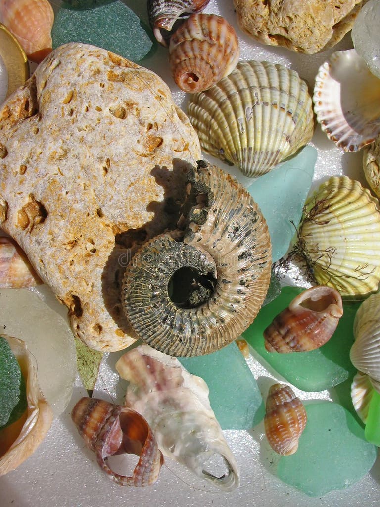 109 Ammonite River Stock Photos - Free & Royalty-Free Stock Photos from ...