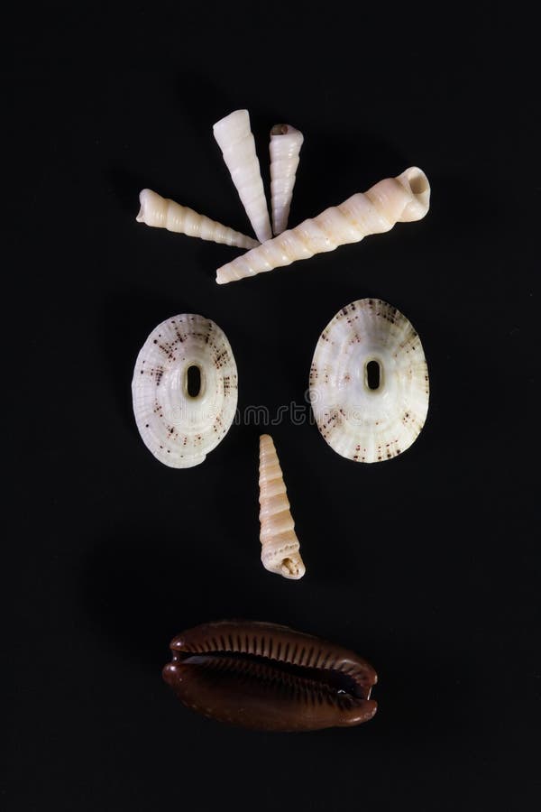 Sea shell faces stock image. Image of emotional, guide - 103033965