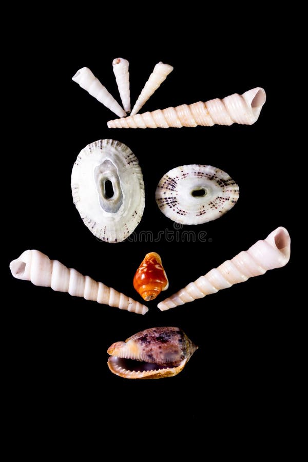 Sea shell faces stock image. Image of range, face, destination - 103033983