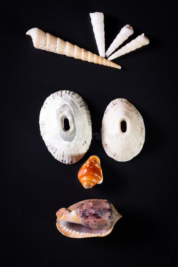 Sea shell faces stock photo. Image of emotion, isolated - 103034000