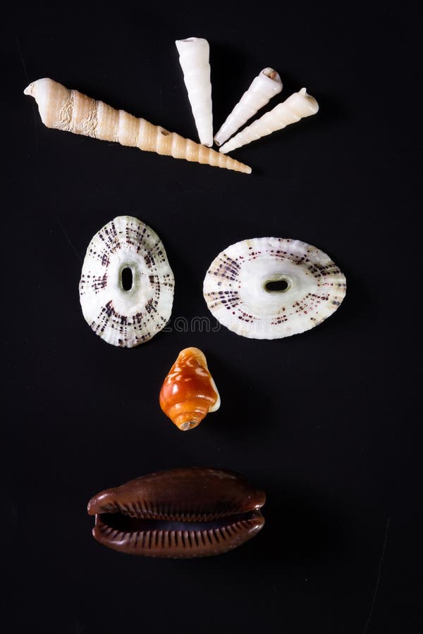 Sea shell faces stock photo. Image of expression, create - 103033960