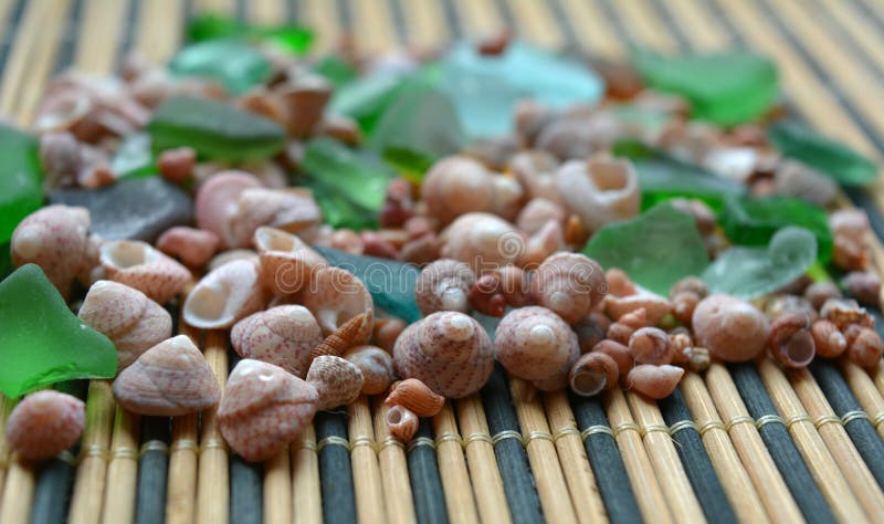 Sea shells background stock image. Image of beautiful - 92600973