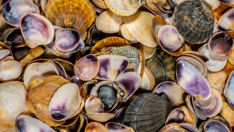 Ocean Texture Plan View Stock Photos - Free & Royalty-Free Stock Photos ...