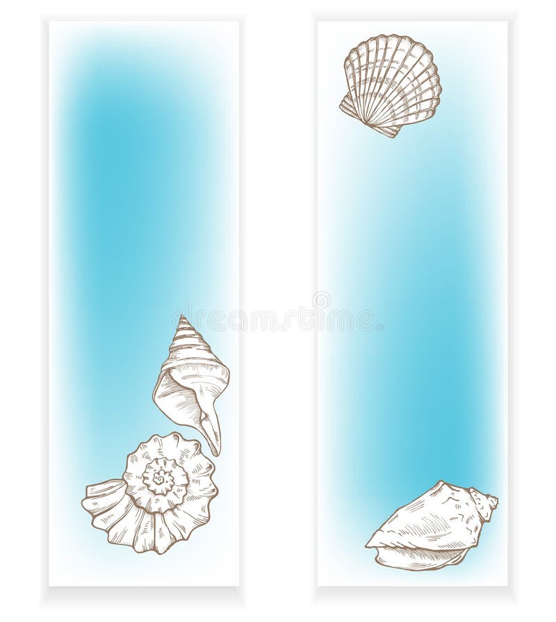 Sea shells banners stock vector. Illustration of diving - 74130734