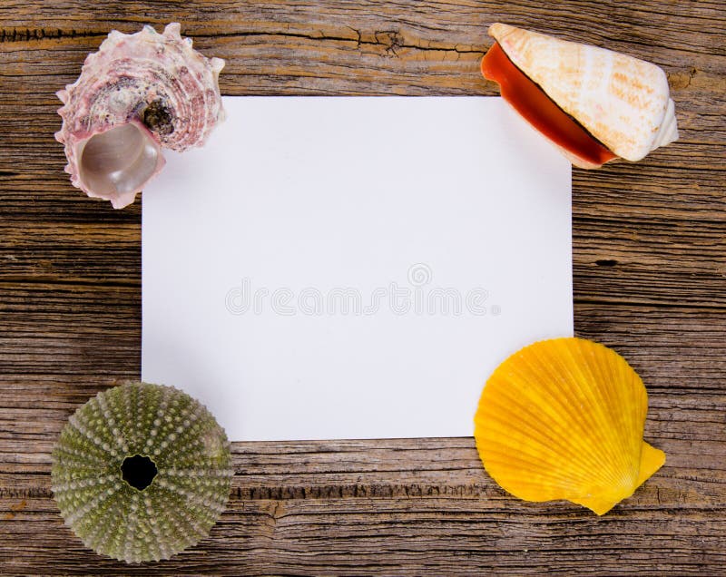 Sea Shells with Blank Paper Stock Image - Image of paper, postcard ...