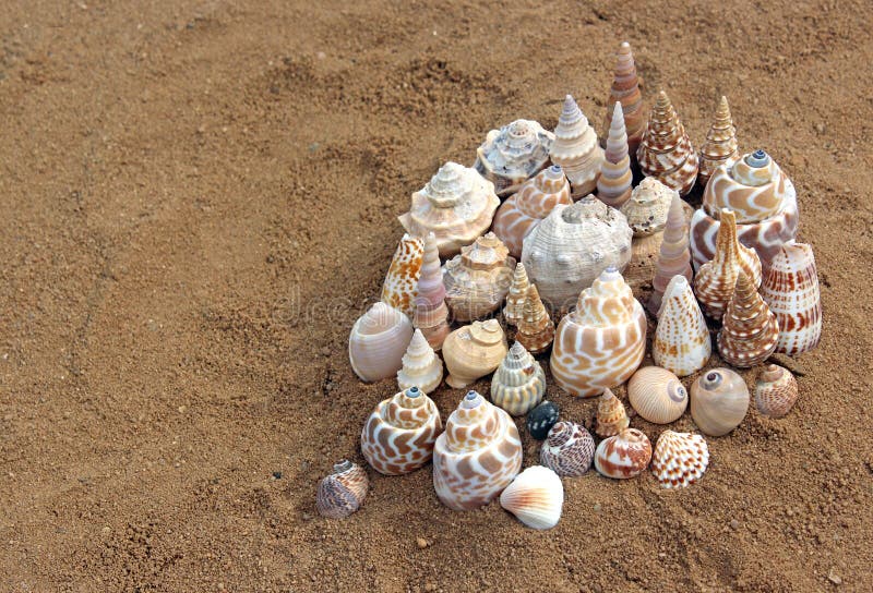 Sea shells building a city stock image. Image of shape - 91262871