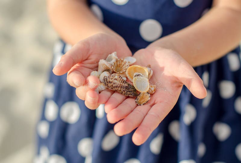 Sea shells. stock photo. Image of childhood, natural - 46839394