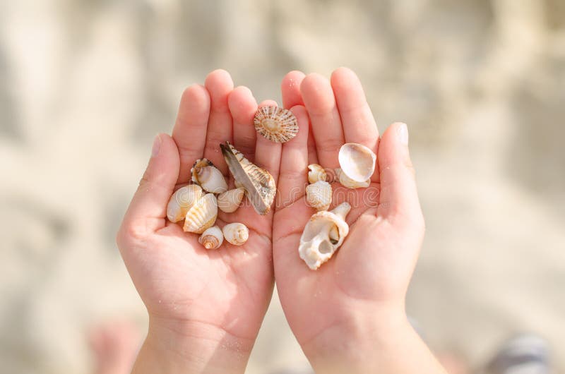 625 Hands Holding Sea Shells Stock Photos - Free & Royalty-Free Stock ...