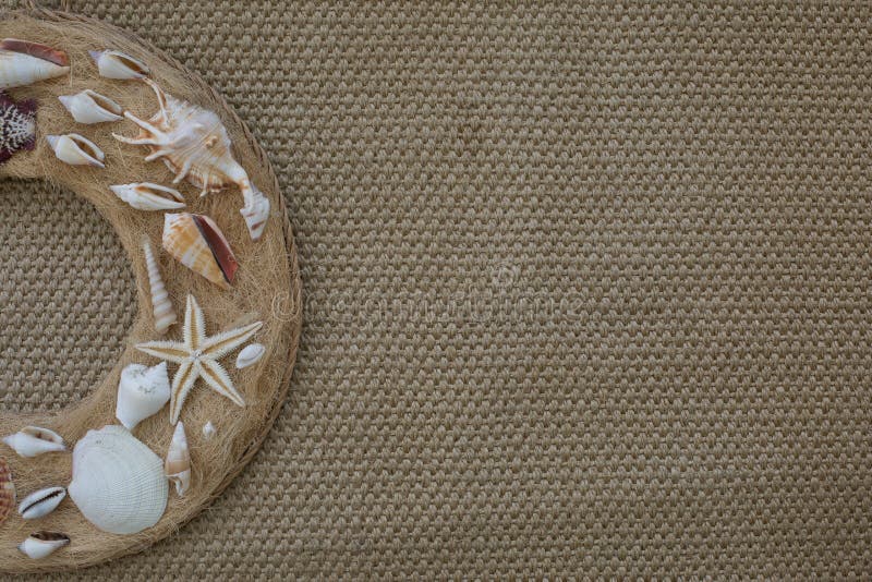 Sea shells on a circle stock photo. Image of nature, semicircle - 75667518