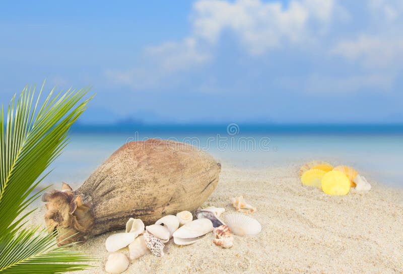 Idyllic stock image. Image of park, idyllic, ocean, vacation - 20131065